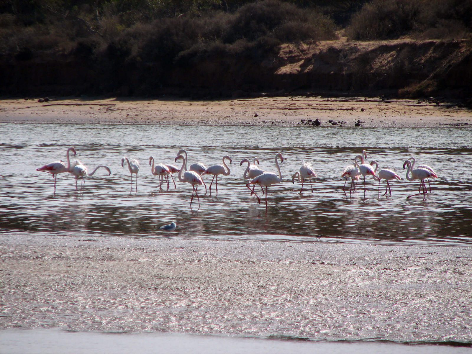 Explore The Souss Valley: Rural Morocco Uncovered